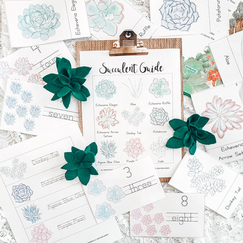 Succulent Plant Nature Study | Printables | Homeschool Resources ...