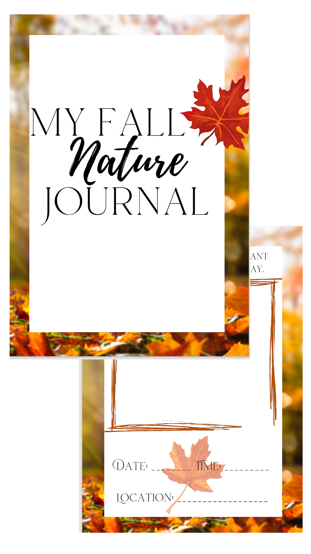 16 Fun Fall Outdoor Activities
