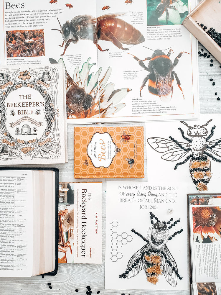 10 Resources for a Bee Nature Study