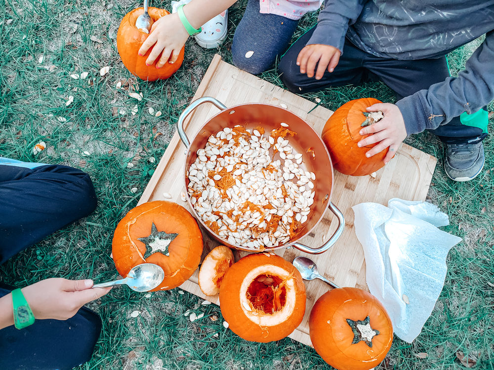16 Fun Fall Outdoor Activities