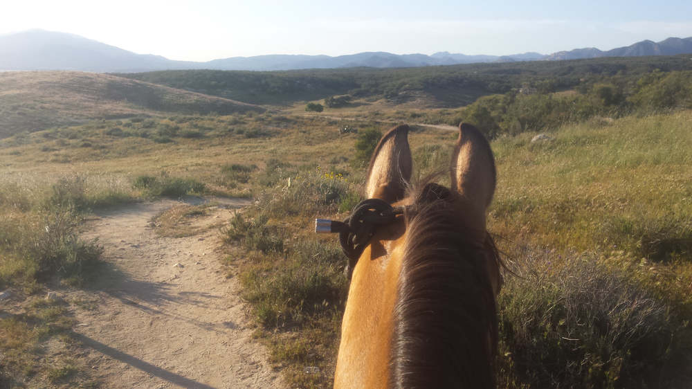 Riding into Warner Springs | Gillian Larson