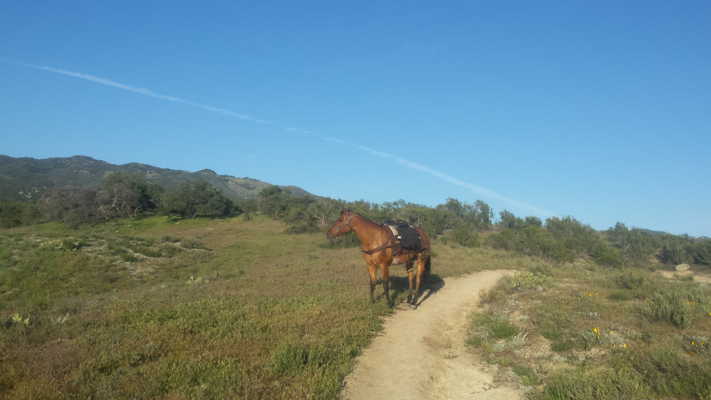 Riding into Warner Springs | Gillian Larson