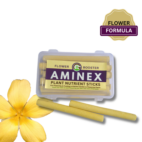 Aminex Nutri Sticks (10 nos) | OrgaGarden