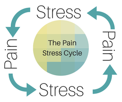 Caught in a pain/stress cycle? Let's get back to the basics!