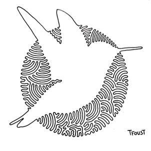 gallery | Tyler Foust Art