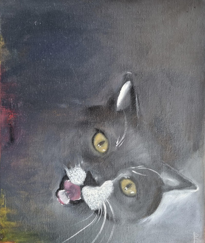 Caaaaat - 300 * 200mm | Paula Brill Art