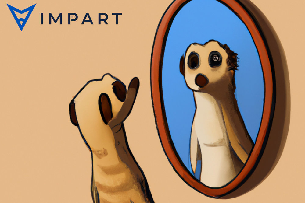 Introducing Impart Security - Security Boulevard