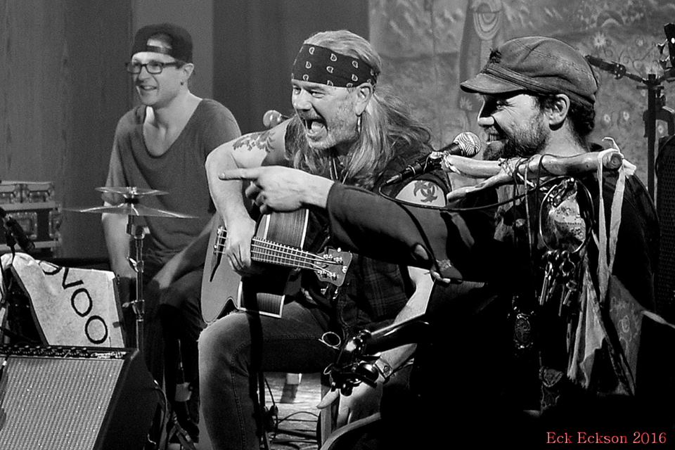 Singer Songwriter | Driftwood-holly