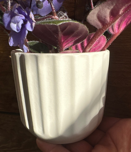 White Groove Pot | Audrey's Plant Shop