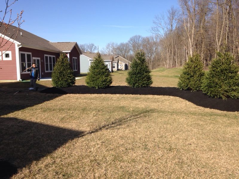 Landscaping | rangel-professional-