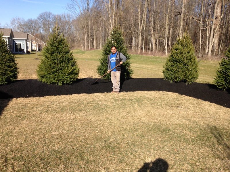 Landscaping | rangel-professional-