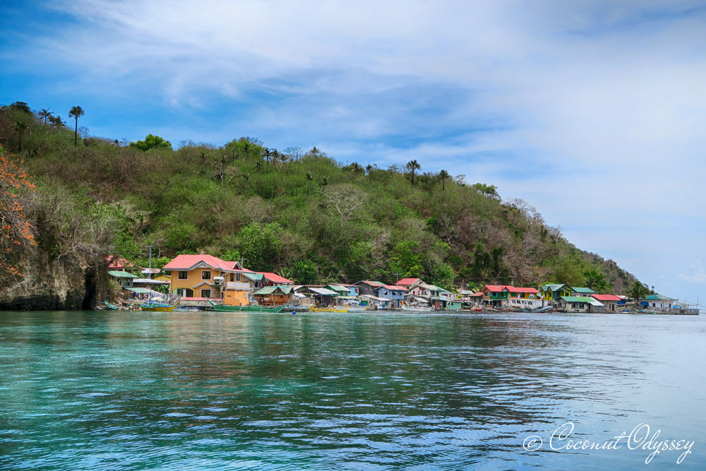 Why You Need To Dive Anilao, Philippines - Coconut Odyssey