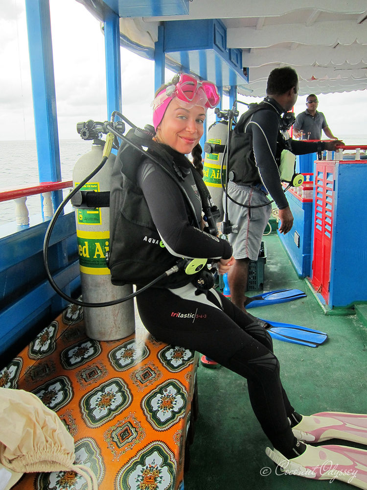 Explore The Maldives | Diving, Relaxation & The Ultimate Paradise ...