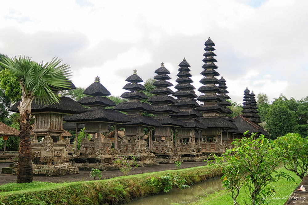 Bali Water Temple Day Tour - Within 8 Hours - Coconut Odyssey