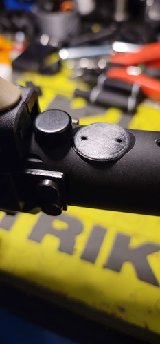 PRV Delete Cap for M10 Setscrew | WXN