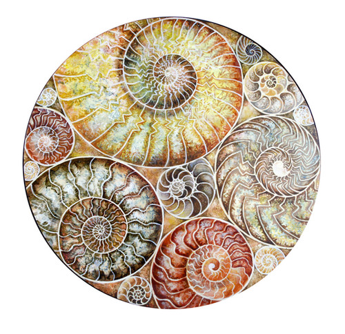 Original Painting of Ammonite Patterns by Jacq Garner Art