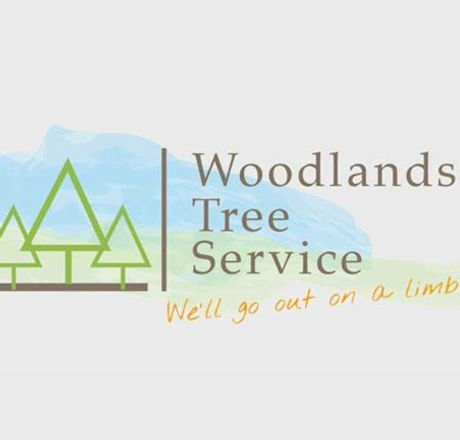 Home | Woodlands Tree Service