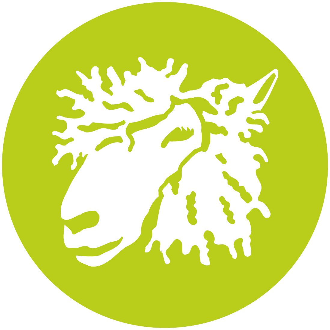 Intro To Lime Plastering 2 Days Carringtonlime intro-to-lime-plastering-2-days-carringtonlime