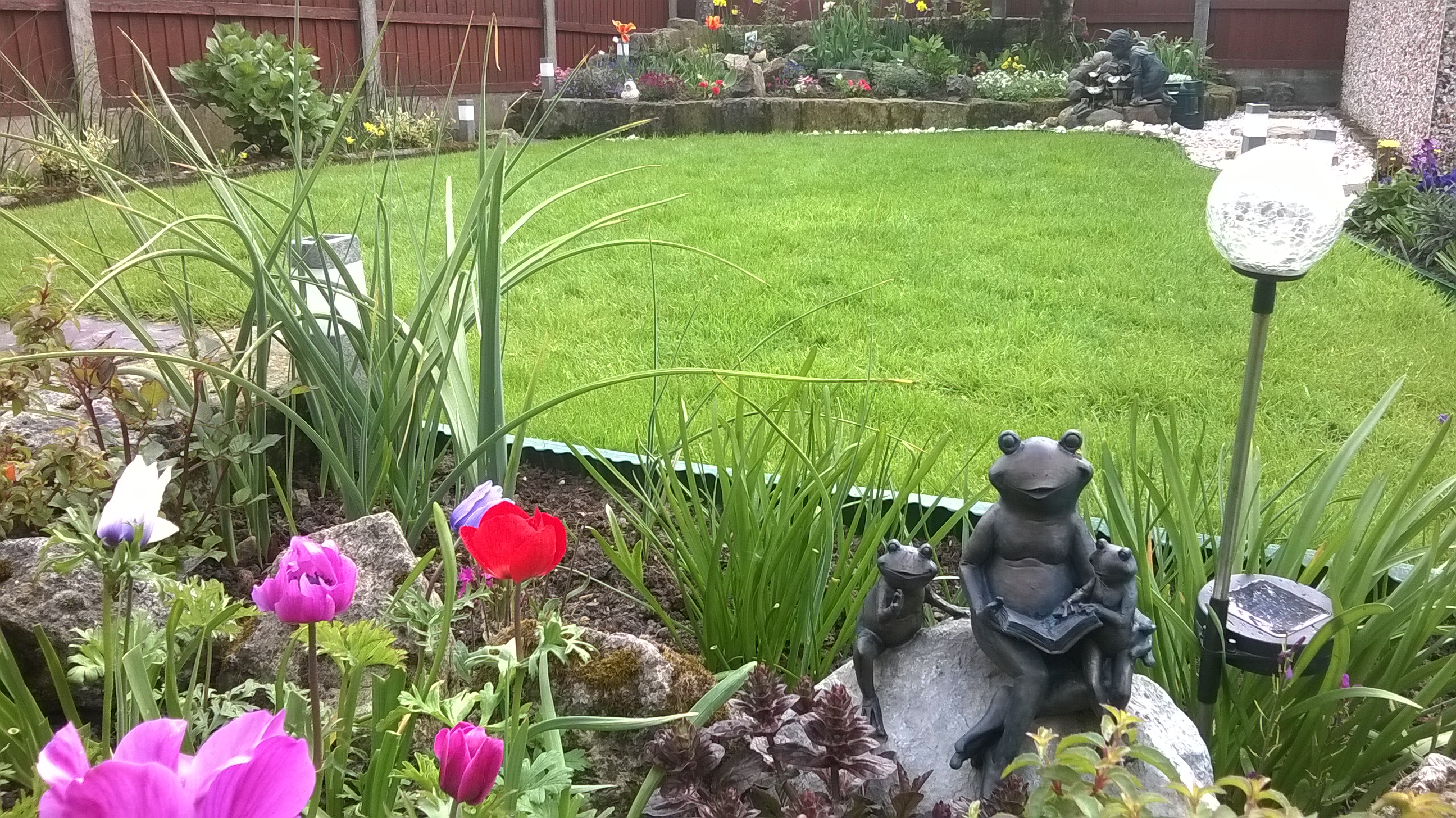 Green Frog Landscaping Lawn Care