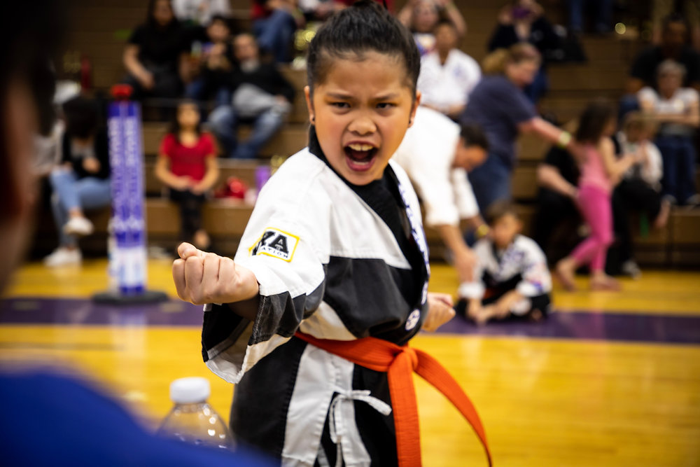 The Mastery of Kata / Forms