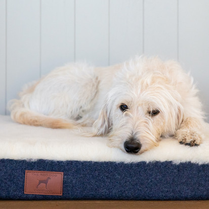 British Made Dog Beds | The Red Dog Company