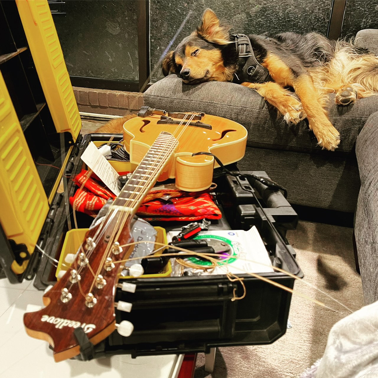 An Evening with Hall Williams | Eckington Hall