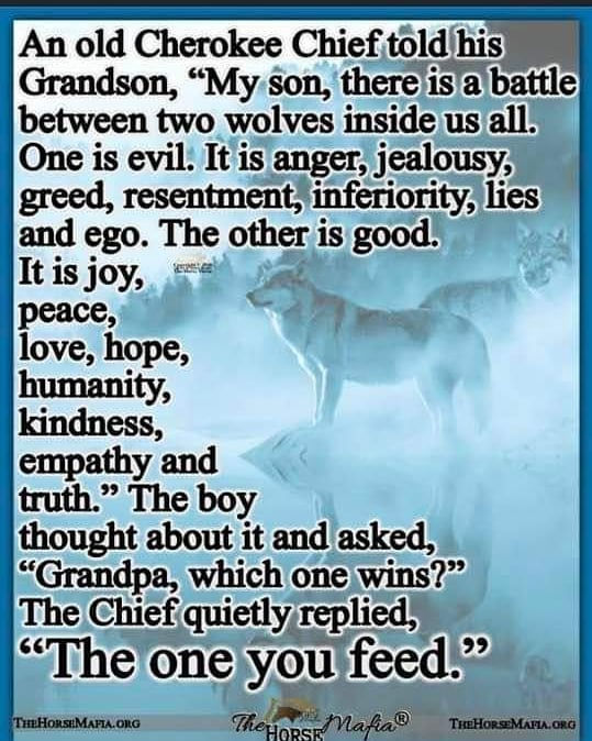 The one you feed....