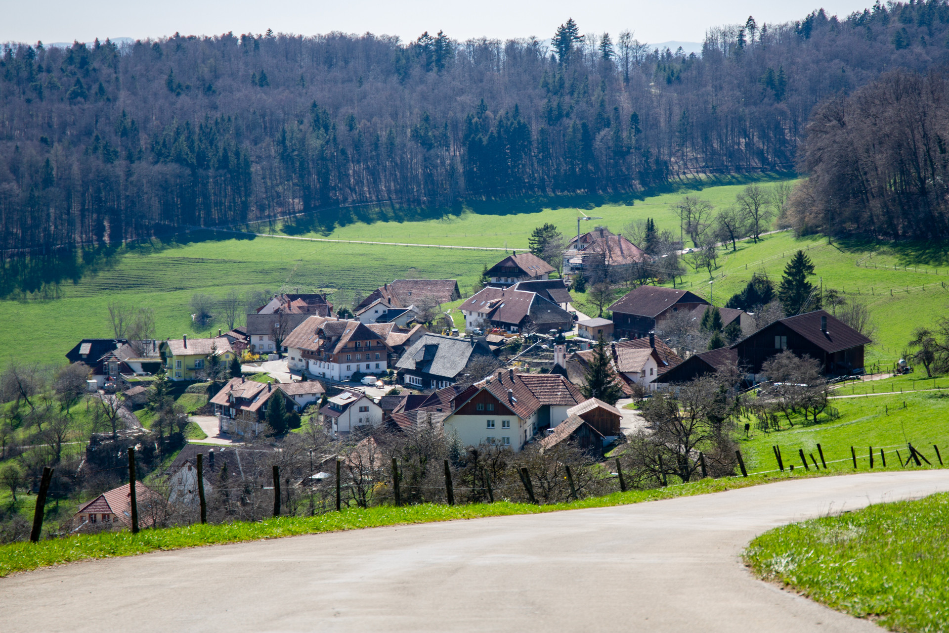 Gaiß - Vorstellung und anschließender Rundgang | Martin Gruner