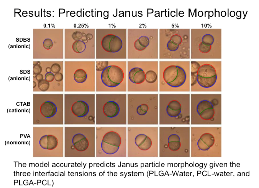 Biodegradable Janus Particles for Drug Delivery