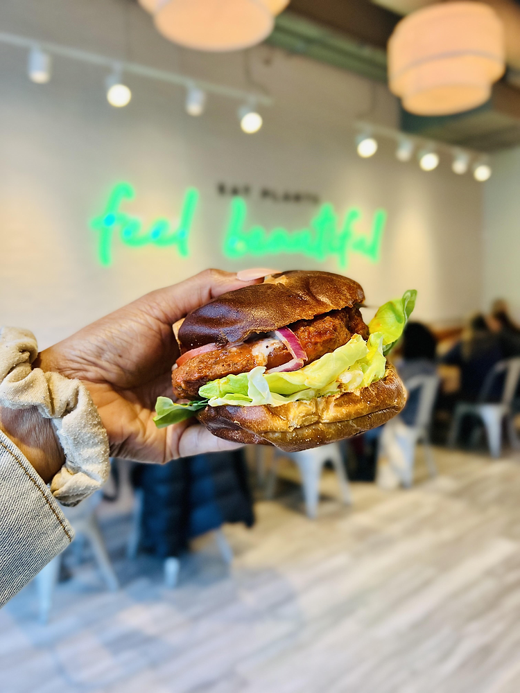 NEW: Elephant + Vine Opens in Evanston