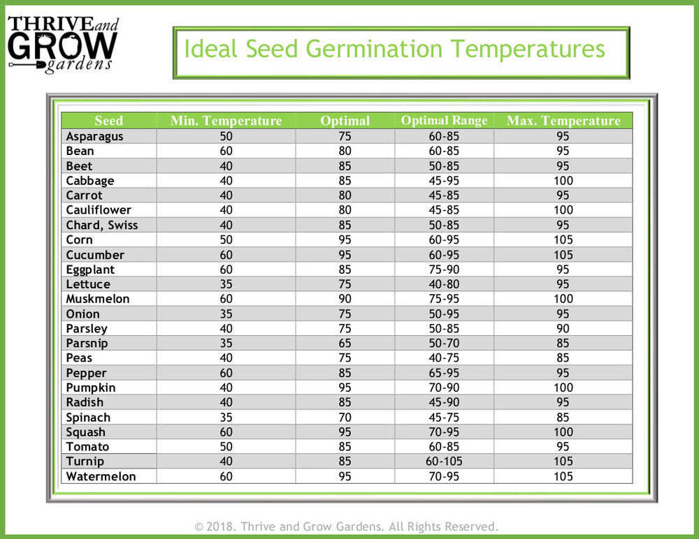 Four Tips for Successful Seed Germination