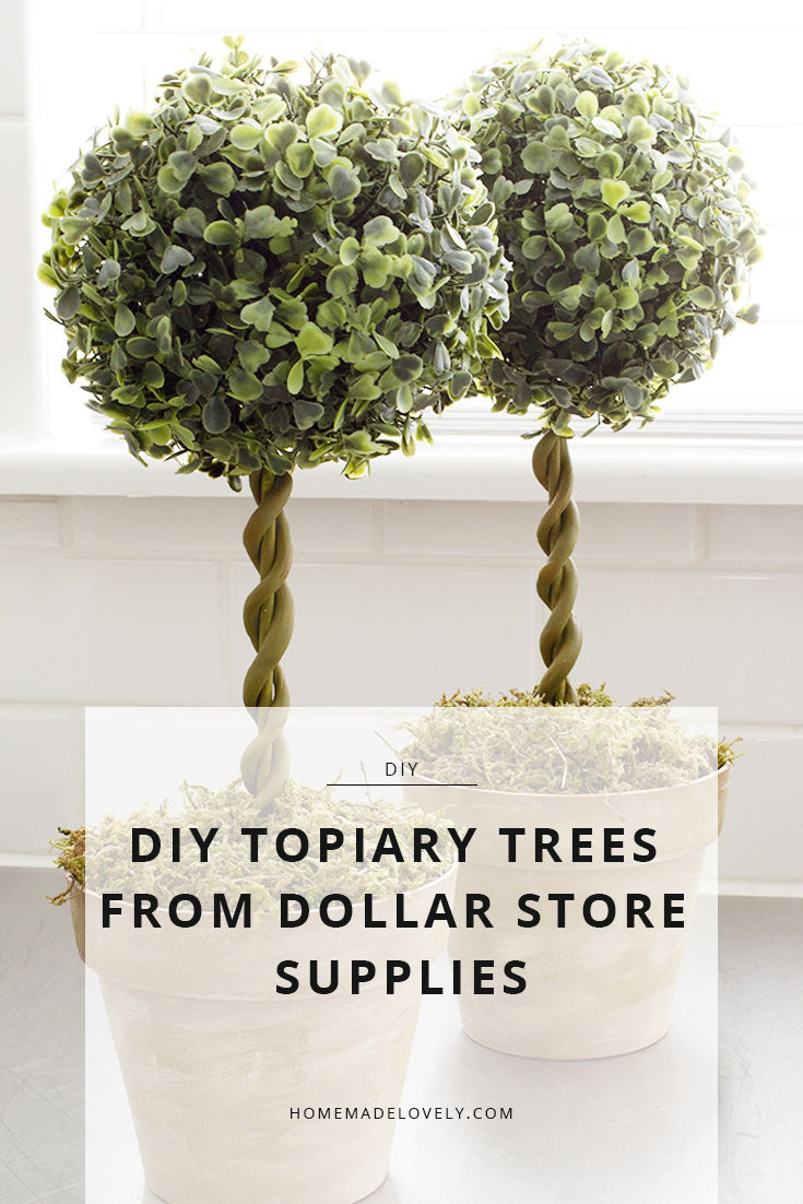 DIY Fake Plant Crafts to Decorate Your Home With!
