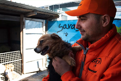 Sava's Safe Haven | Animal rescue