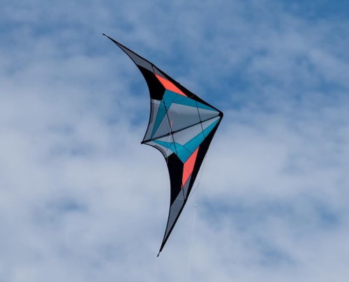 Tank | Canvas Kite Designs