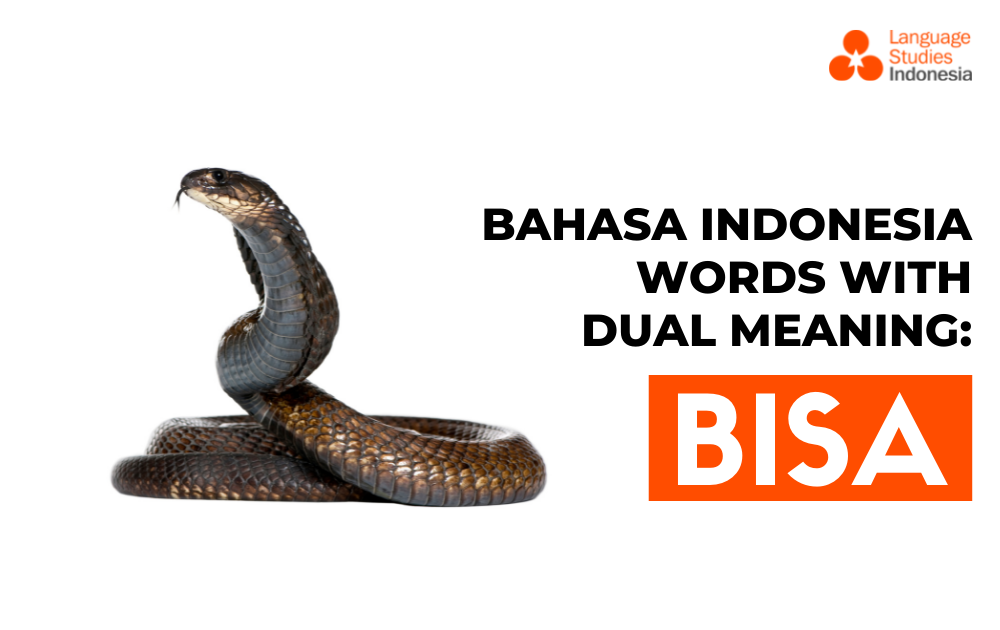 Bahasa Indonesia Words With Dual Meaning: "Bisa"