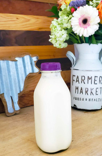 1 Quart Raw A2 Jersey Milk Weekly | Cortez Creamery