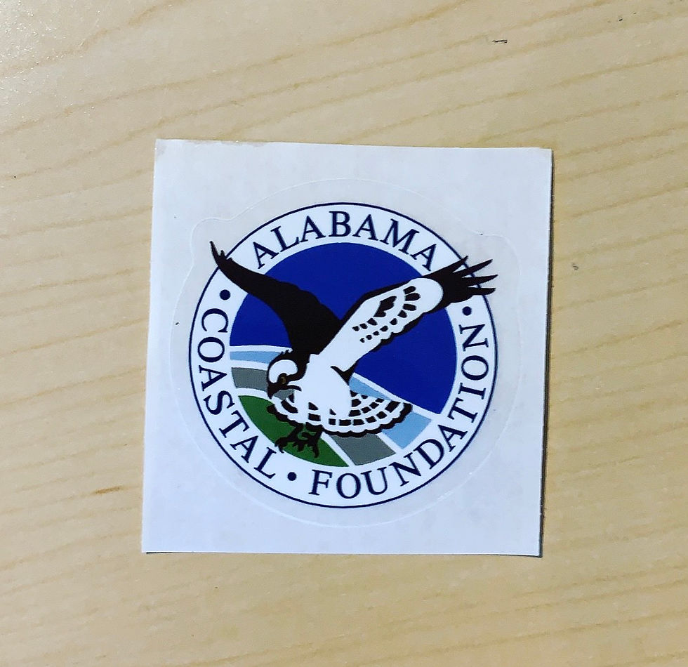 ShoreStore | ACF Website