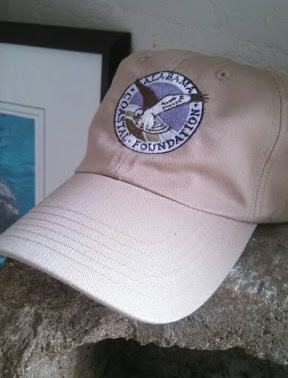 ACF Baseball Cap | ACF Website