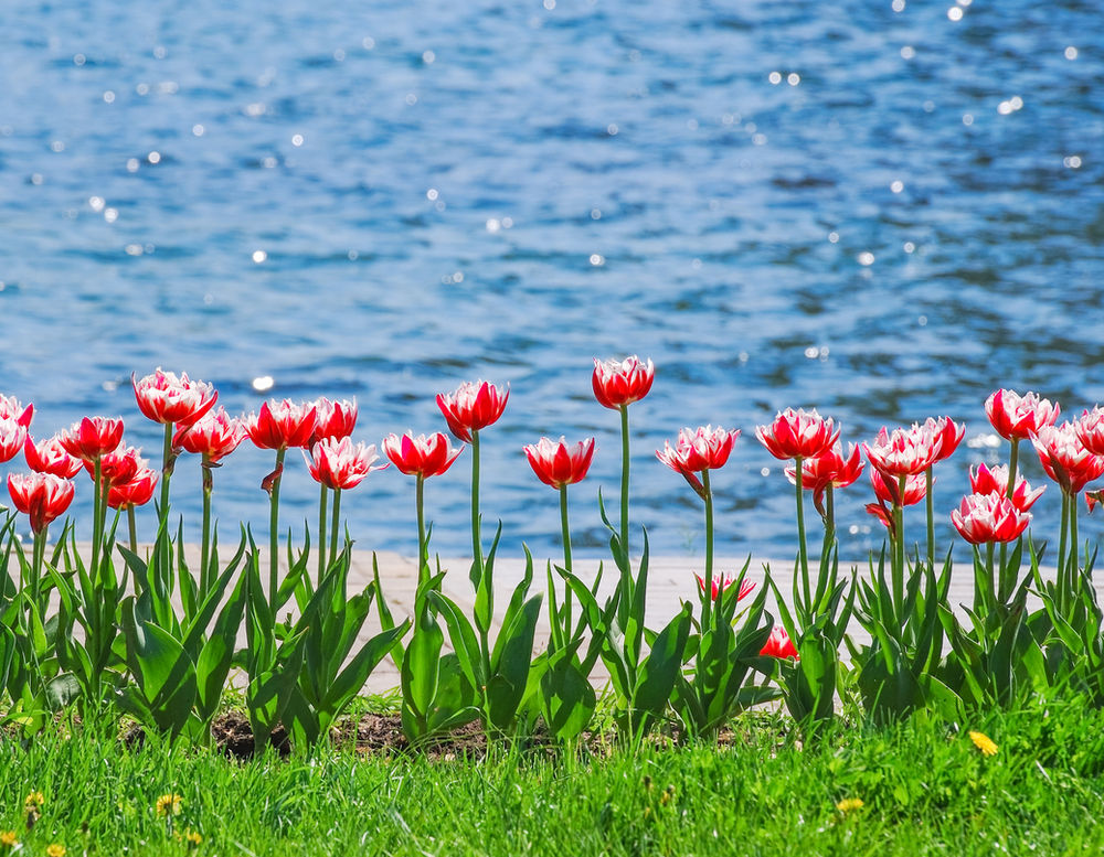 Spring Coastal Project Countdown by Grande Interiors