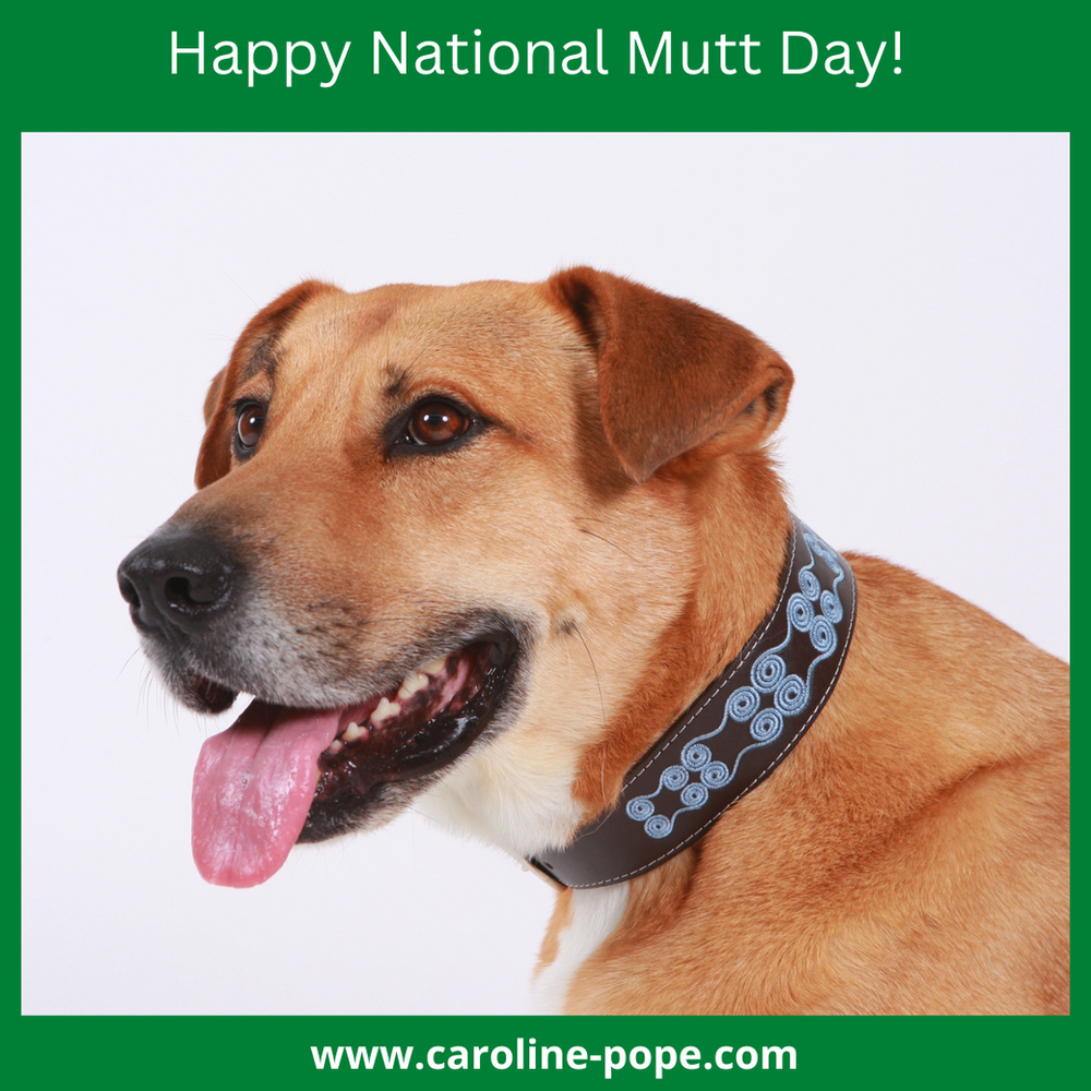 Happy National Mutt Day!