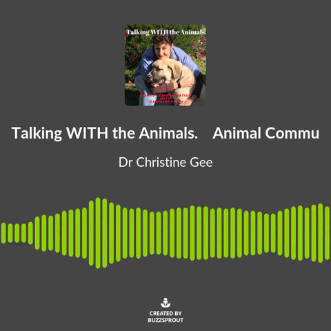 Dr Gee Interviewhttps://podcasts.apple.com/au/podcast/talking-animals ...