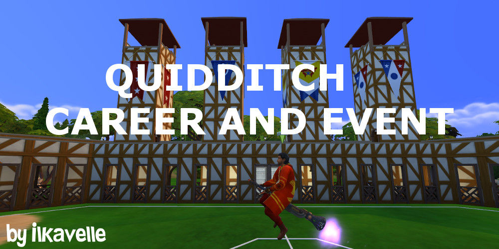 Quidditch Career