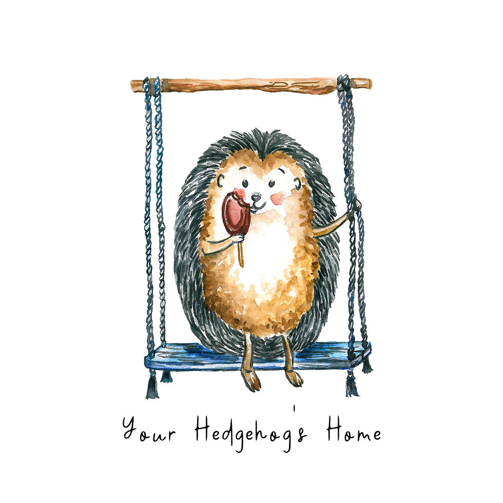 Your Hedgehog’s Home