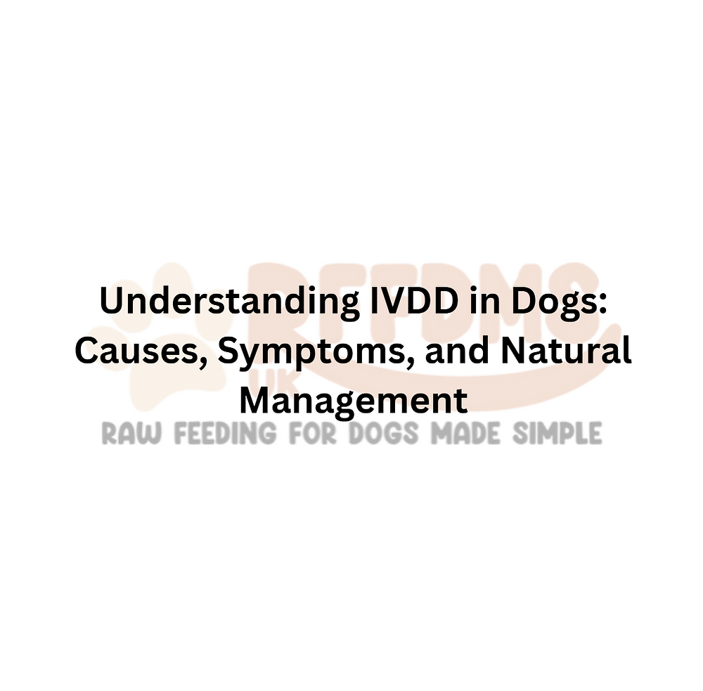 Understanding IVDD in Dogs: Causes, Symptoms, and Natural Management