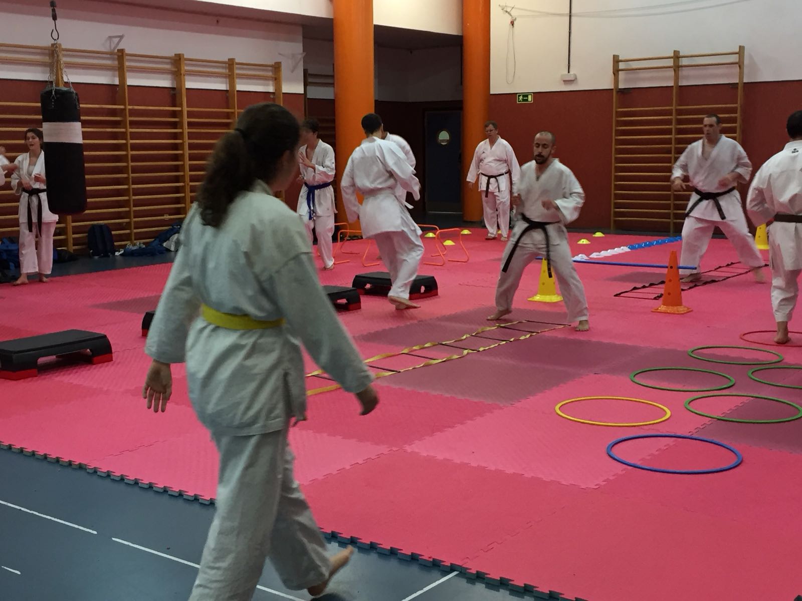 Club Karate Kangaroo Galería 2018