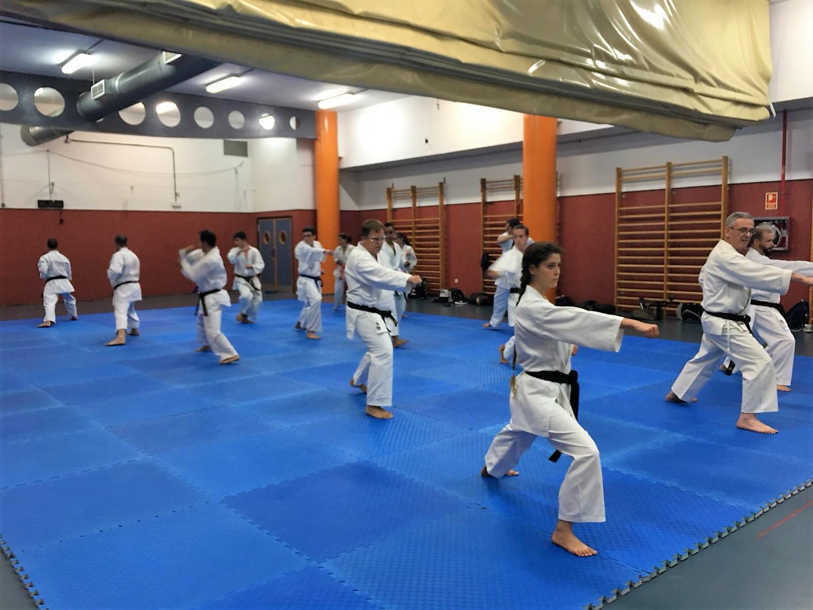 Club Karate Kangaroo Galería 2018