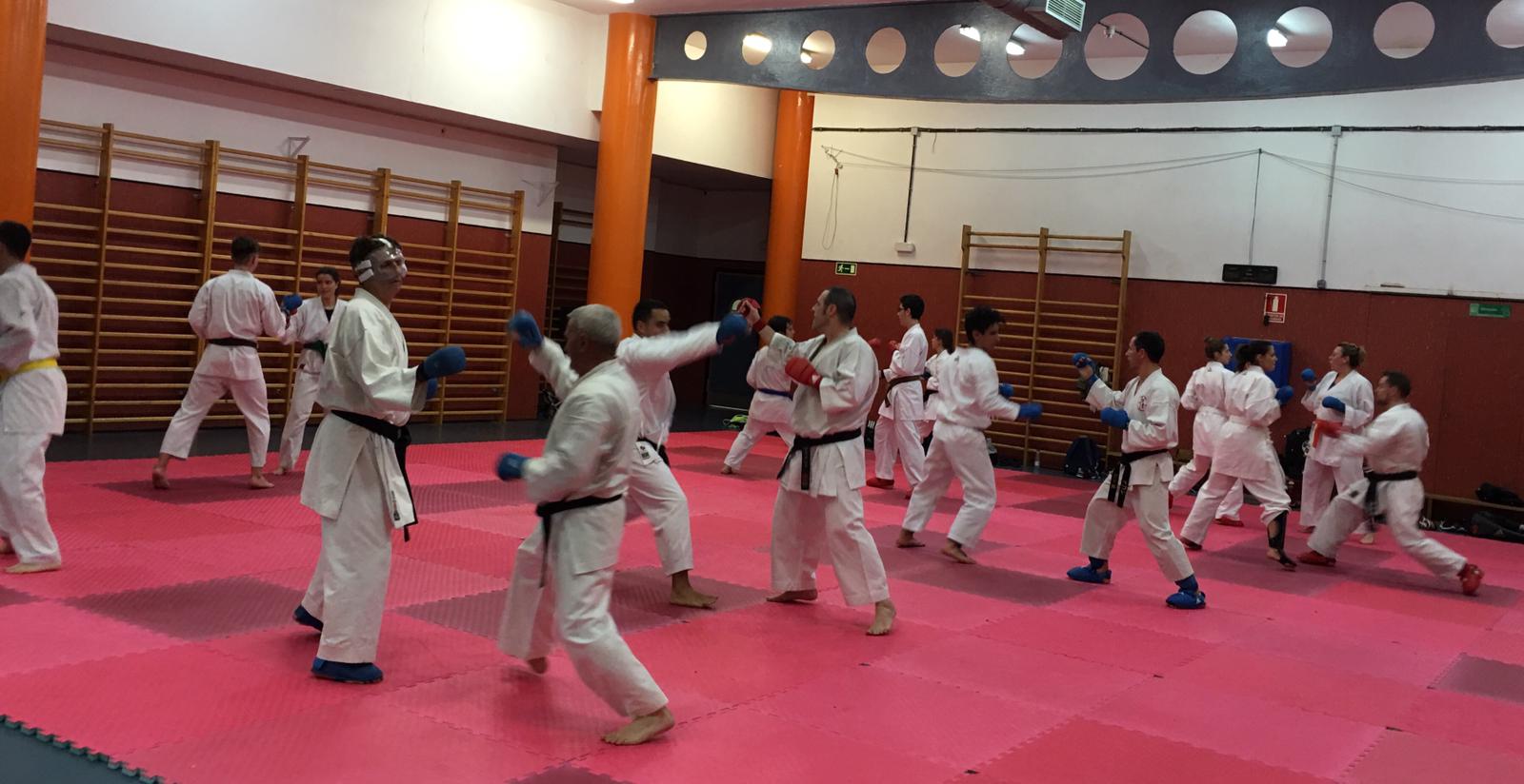 Club Karate Kangaroo Galería 2019