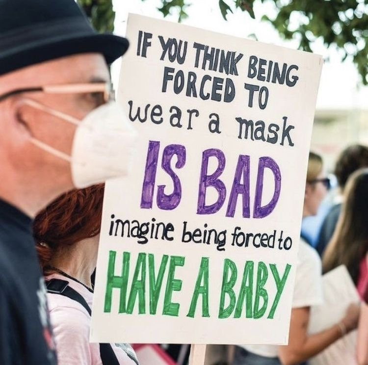 Slam Poetry, A Toad, and the End of Women’s Rights- the Wade vs Roe ...