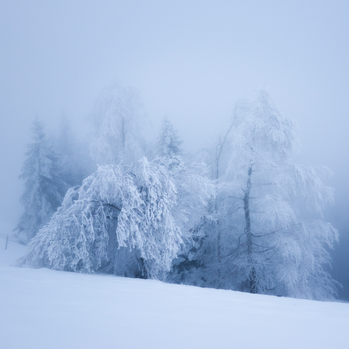 Winter Solace (Complete Collection - PDF) | Joshua Kyan