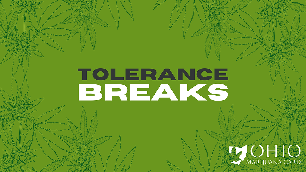 What Are Cannabis Tolerance Breaks And Are They Useful?